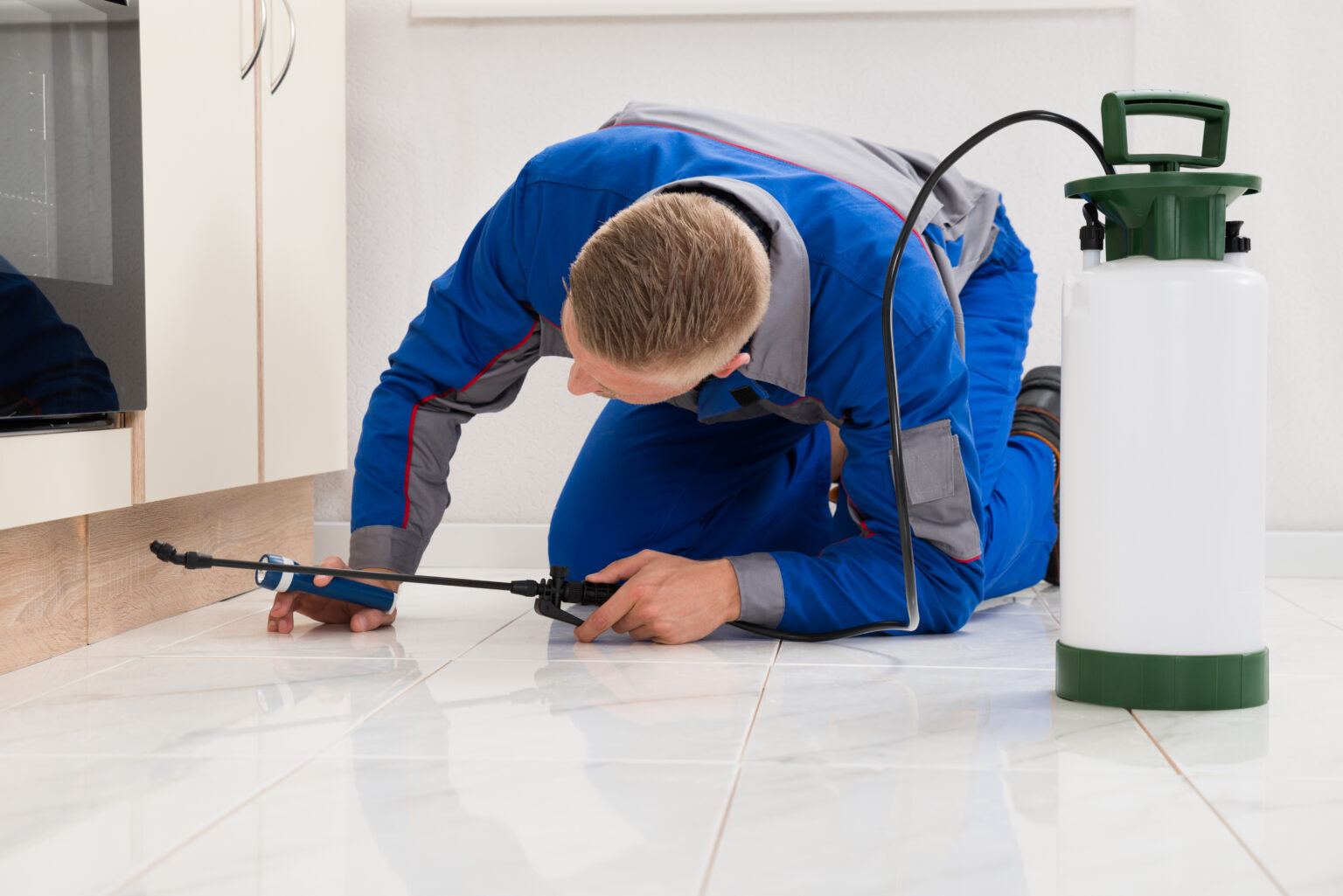 Miami Pest Control Experts | Reliable Extermination Services